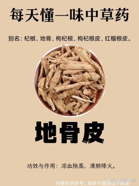 地骨皮的功效与作用有哪些_地骨皮图片长什么样-第3张图片-山城妙识 地骨皮的功效与作用有哪些_地骨皮图片长什么样-第3张图片-山城妙识