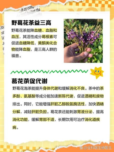葛花泡水喝的功效与作用_葛花泡水喝的正确方法-第1张图片-山城妙识 葛花泡水喝的功效与作用_葛花泡水喝的正确方法-第1张图片-山城妙识