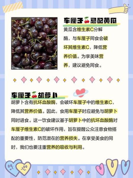 车厘子不适合什么人吃_哪些人不能吃车厘子-第3张图片-山城妙识 车厘子不适合什么人吃_哪些人不能吃车厘子-第3张图片-山城妙识