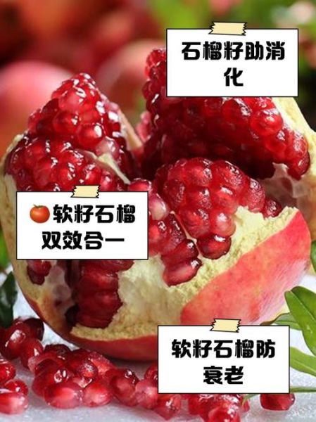 软籽石榴籽的功效与作用_软籽石榴籽能吃吗-第1张图片-山城妙识 软籽石榴籽的功效与作用_软籽石榴籽能吃吗-第1张图片-山城妙识