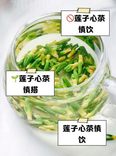 莲子心茶什么人不能喝_莲子心茶禁忌有哪些-第2张图片-山城妙识 莲子心茶什么人不能喝_莲子心茶禁忌有哪些-第2张图片-山城妙识
