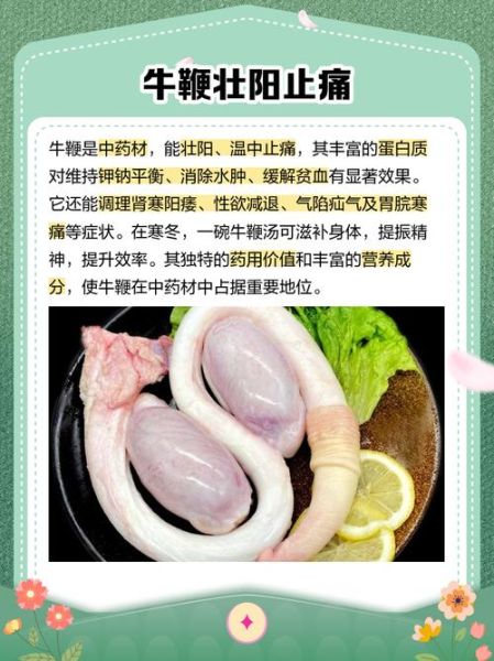 牛鞭是什么样子_牛鞭外形特征详解-第2张图片-山城妙识 牛鞭是什么样子_牛鞭外形特征详解-第2张图片-山城妙识