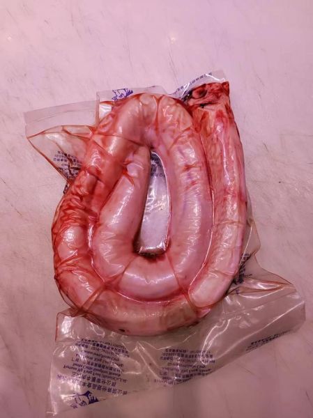 牛鞭是什么样子_牛鞭外形特征详解-第3张图片-山城妙识 牛鞭是什么样子_牛鞭外形特征详解-第3张图片-山城妙识