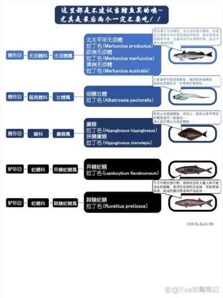 银鳕鱼和鳕鱼有什么区别_如何一眼分辨真假-第3张图片-山城妙识 银鳕鱼和鳕鱼有什么区别_如何一眼分辨真假-第3张图片-山城妙识