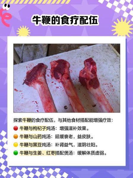 牛鞭是什么样子_牛鞭外形特征详解-第1张图片-山城妙识 牛鞭是什么样子_牛鞭外形特征详解-第1张图片-山城妙识