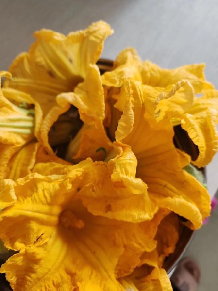 南瓜花怎么做好吃_南瓜花做法大全-第2张图片-山城妙识 南瓜花怎么做好吃_南瓜花做法大全-第2张图片-山城妙识