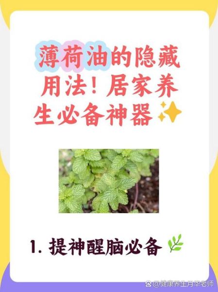 薄荷油的功效与作用_薄荷油怎么用效果最好-第3张图片-山城妙识 薄荷油的功效与作用_薄荷油怎么用效果最好-第3张图片-山城妙识