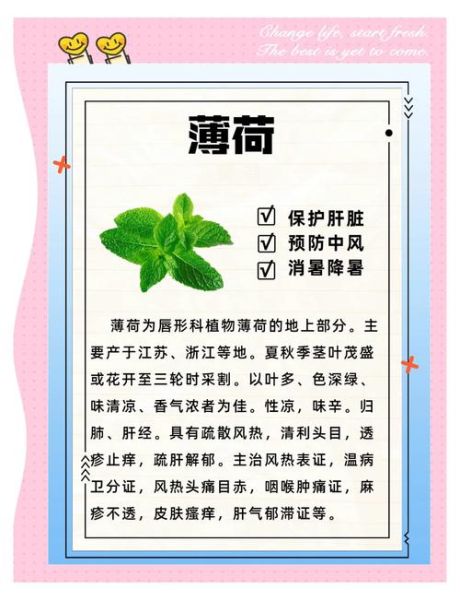 薄荷油的功效与作用_薄荷油怎么用效果最好-第2张图片-山城妙识 薄荷油的功效与作用_薄荷油怎么用效果最好-第2张图片-山城妙识