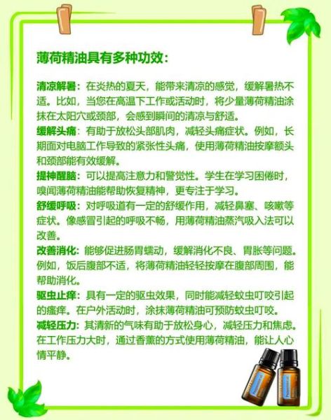 薄荷油的功效与作用_薄荷油怎么用效果最好-第1张图片-山城妙识 薄荷油的功效与作用_薄荷油怎么用效果最好-第1张图片-山城妙识