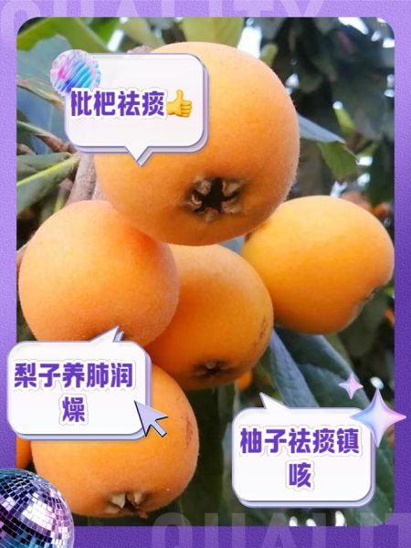 治咳嗽的水果有哪些_哪些水果止咳最快-第3张图片-山城妙识 治咳嗽的水果有哪些_哪些水果止咳最快-第3张图片-山城妙识