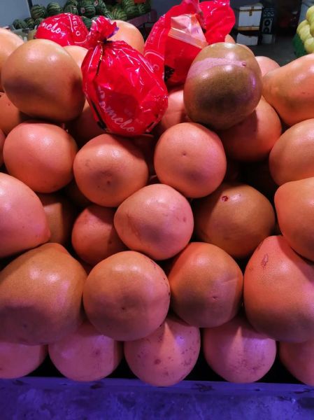 红肉柚子能减肥吗_红肉柚子的功效与作用-第2张图片-山城妙识 红肉柚子能减肥吗_红肉柚子的功效与作用-第2张图片-山城妙识