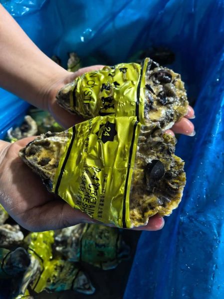 生蚝批发多少钱100斤_生蚝批发价格怎么算-第3张图片-山城妙识 生蚝批发多少钱100斤_生蚝批发价格怎么算-第3张图片-山城妙识