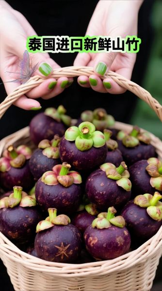 山竹产地哪里的最好_泰国山竹为什么更甜-第2张图片-山城妙识 山竹产地哪里的最好_泰国山竹为什么更甜-第2张图片-山城妙识