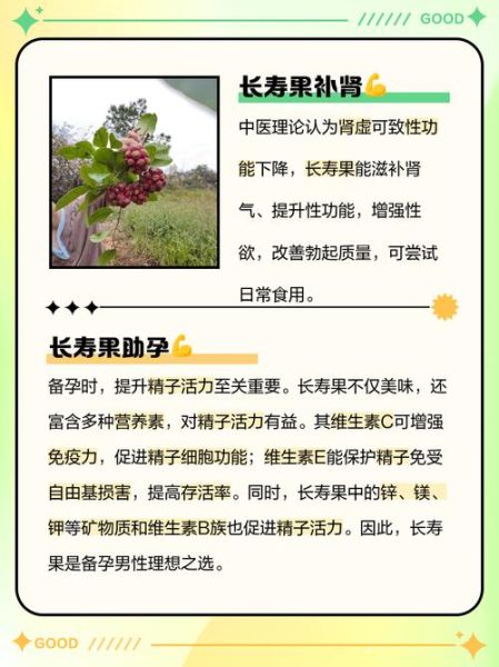 长寿果是什么_长寿果的功效与作用-第1张图片-山城妙识 长寿果是什么_长寿果的功效与作用-第1张图片-山城妙识