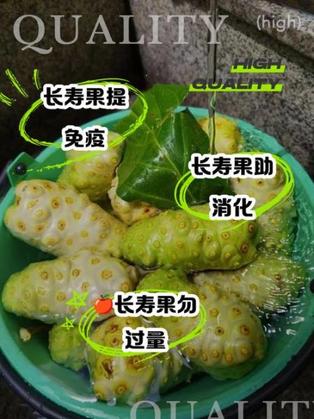长寿果是什么_长寿果的功效与作用-第3张图片-山城妙识 长寿果是什么_长寿果的功效与作用-第3张图片-山城妙识