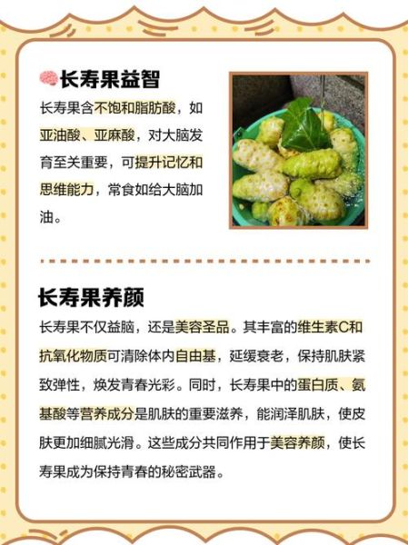 长寿果是什么_长寿果的功效与作用-第2张图片-山城妙识 长寿果是什么_长寿果的功效与作用-第2张图片-山城妙识
