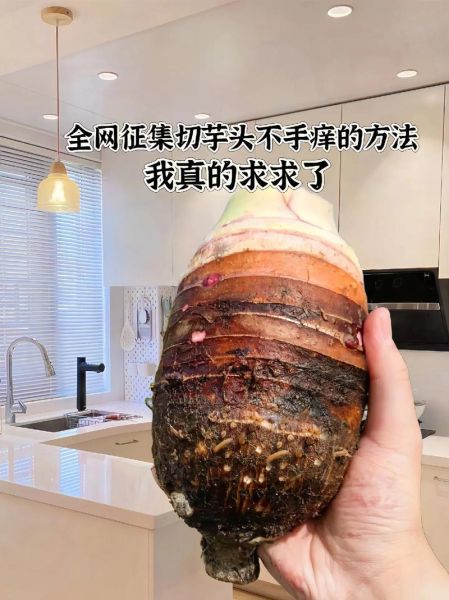 弄完芋头手痒怎么办_芋头手痒快速止痒方法-第3张图片-山城妙识 弄完芋头手痒怎么办_芋头手痒快速止痒方法-第3张图片-山城妙识