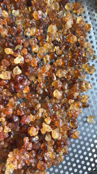 桃胶的价格多少钱一斤_正宗桃胶多少钱一斤-第2张图片-山城妙识 桃胶的价格多少钱一斤_正宗桃胶多少钱一斤-第2张图片-山城妙识