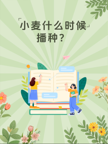 麦子什么时候种_麦子种植方法-第2张图片-山城妙识 麦子什么时候种_麦子种植方法-第2张图片-山城妙识