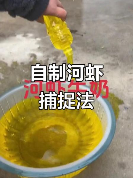 河虾喜欢吃什么饵料_野钓河虾用什么打窝最好-第3张图片-山城妙识 河虾喜欢吃什么饵料_野钓河虾用什么打窝最好-第3张图片-山城妙识