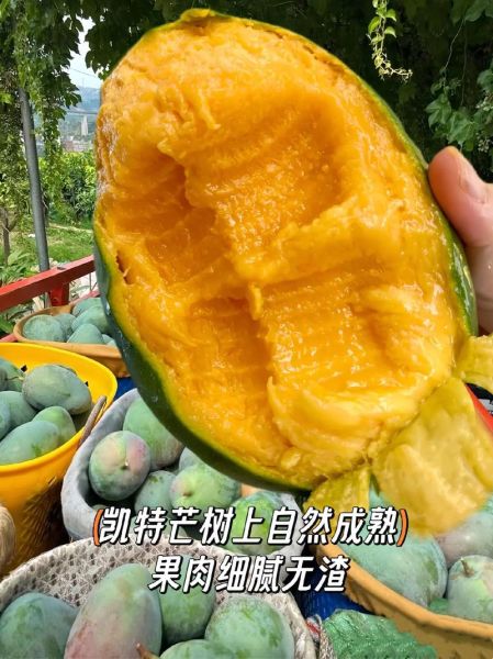 一个大芒果一般多少钱_一斤芒果价格是多少-第1张图片-山城妙识 一个大芒果一般多少钱_一斤芒果价格是多少-第1张图片-山城妙识