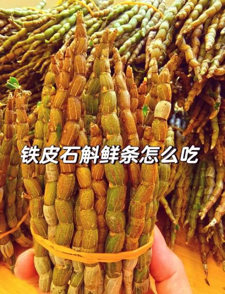 铁皮石斛的正确吃法_铁皮石斛一天吃多少克-第1张图片-山城妙识