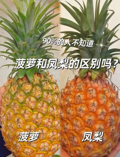无眼菠萝和凤梨的区别_哪个更甜-第3张图片-山城妙识