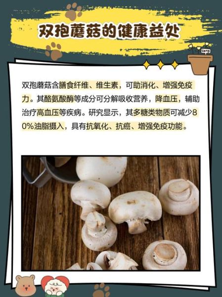 双孢蘑菇有毒吗_如何辨别可食用品种-第1张图片-山城妙识 双孢蘑菇有毒吗_如何辨别可食用品种-第1张图片-山城妙识