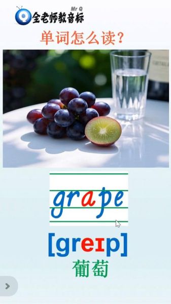 葡萄英语怎么读_发音技巧与练习方法-第1张图片-山城妙识 葡萄英语怎么读_发音技巧与练习方法-第1张图片-山城妙识