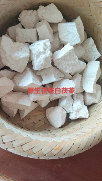 白茯苓的功效与作用_白茯苓怎么吃效果最好-第1张图片-山城妙识 白茯苓的功效与作用_白茯苓怎么吃效果最好-第1张图片-山城妙识