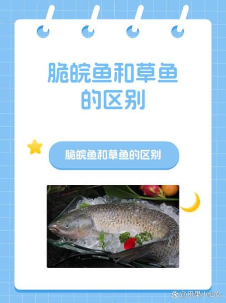 皖鱼和草鱼是一种鱼吗_皖鱼和草鱼哪个更好吃-第1张图片-山城妙识 皖鱼和草鱼是一种鱼吗_皖鱼和草鱼哪个更好吃-第1张图片-山城妙识