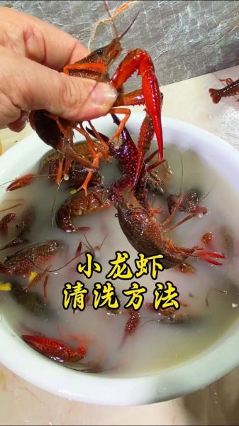 龙虾怎么清洗_龙虾清理方法视频教程-第2张图片-山城妙识