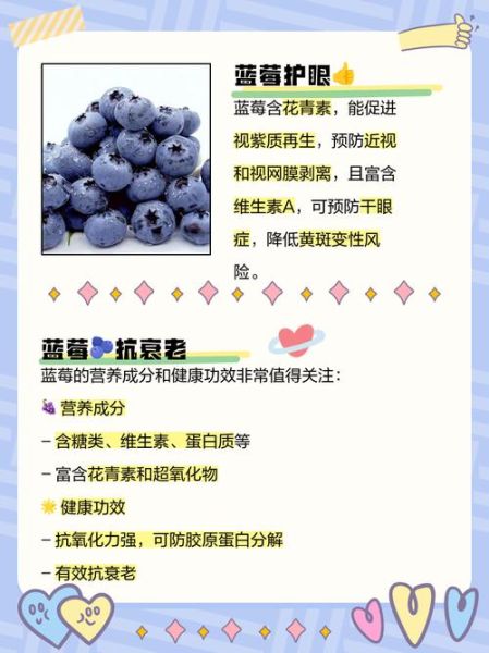 经常吃蓝莓有什么好处_蓝莓的功效与作用-第3张图片-山城妙识
