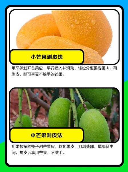 芒果怎么剥皮不脏手_芒果剥皮技巧-第3张图片-山城妙识 芒果怎么剥皮不脏手_芒果剥皮技巧-第3张图片-山城妙识