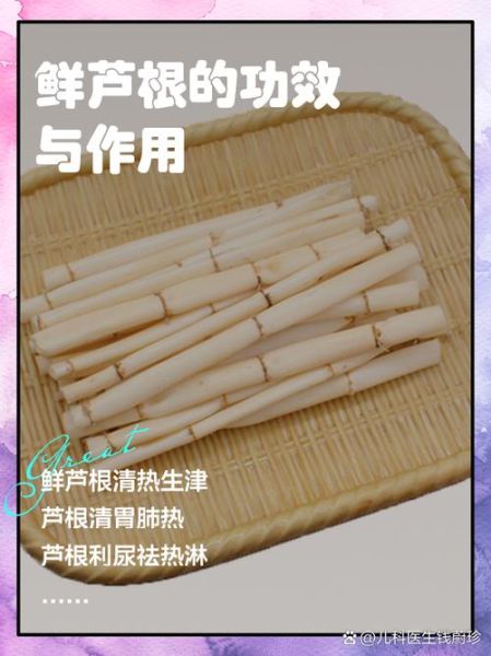 鲜芦根长什么样_鲜芦根怎么辨别真假-第3张图片-山城妙识