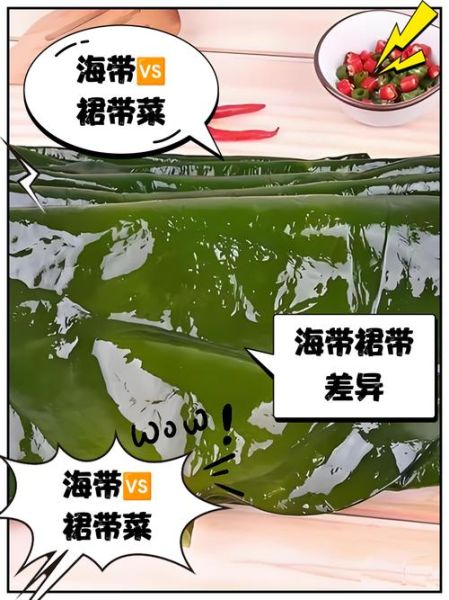 裙带菜的营养价值_裙带菜的功效与作用-第1张图片-山城妙识 裙带菜的营养价值_裙带菜的功效与作用-第1张图片-山城妙识