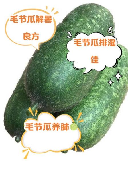 毛节瓜的功效与作用_毛节瓜怎么吃最降火-第1张图片-山城妙识 毛节瓜的功效与作用_毛节瓜怎么吃最降火-第1张图片-山城妙识