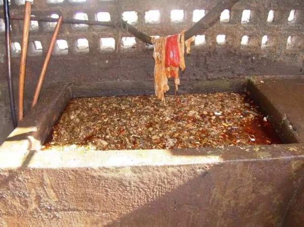 地沟油是什么_地沟油对人体有哪些危害-第1张图片-山城妙识