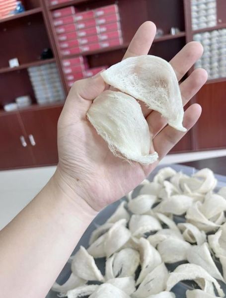 燕盏价格多少钱一克_燕盏多少钱一克才正宗-第1张图片-山城妙识 燕盏价格多少钱一克_燕盏多少钱一克才正宗-第1张图片-山城妙识