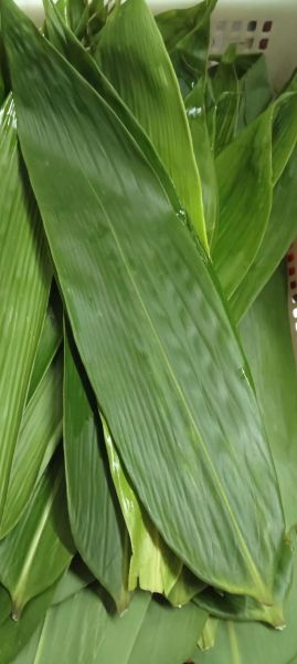 粽叶是什么叶子做的_粽叶有哪些常见种类-第3张图片-山城妙识 粽叶是什么叶子做的_粽叶有哪些常见种类-第3张图片-山城妙识