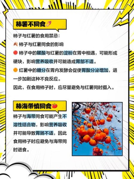 孕妇能吃柿子吗_孕妇吃柿子的危害-第1张图片-山城妙识 孕妇能吃柿子吗_孕妇吃柿子的危害-第1张图片-山城妙识