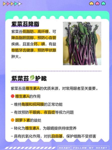 紫菜薹怎么做好吃_紫菜薹的营养价值-第2张图片-山城妙识 紫菜薹怎么做好吃_紫菜薹的营养价值-第2张图片-山城妙识