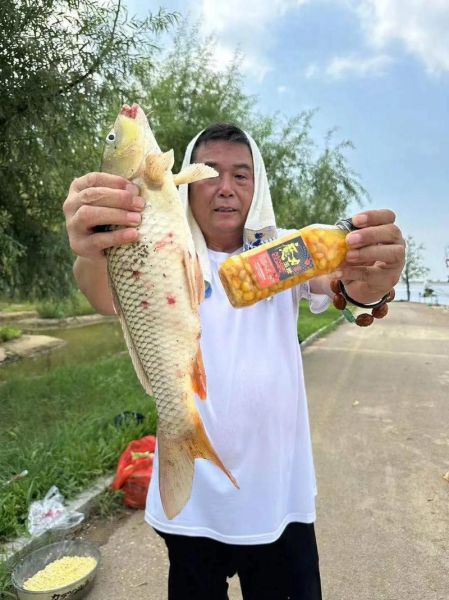 玉米钓草鱼绝招_老钓手不传秘籍-第3张图片-山城妙识 玉米钓草鱼绝招_老钓手不传秘籍-第3张图片-山城妙识