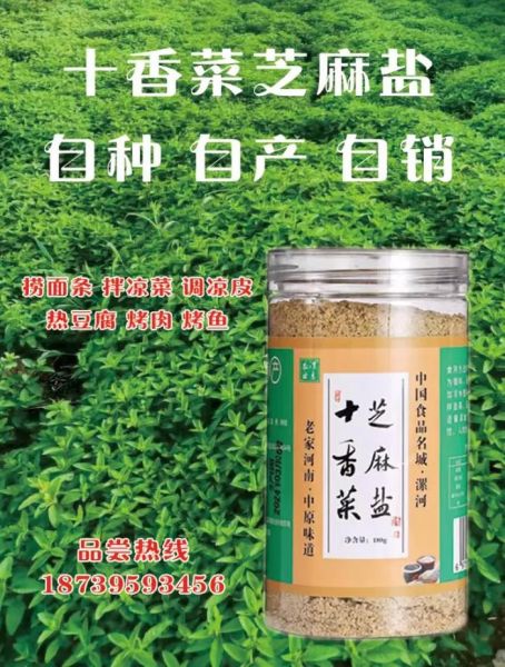 十香菜的功效与作用_十香菜怎么吃-第3张图片-山城妙识 十香菜的功效与作用_十香菜怎么吃-第3张图片-山城妙识