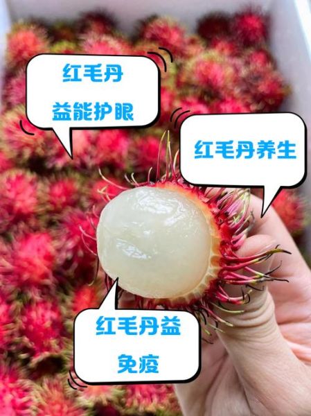 红毛丹怎么吃_红毛丹怎么吃才好吃-第1张图片-山城妙识 红毛丹怎么吃_红毛丹怎么吃才好吃-第1张图片-山城妙识