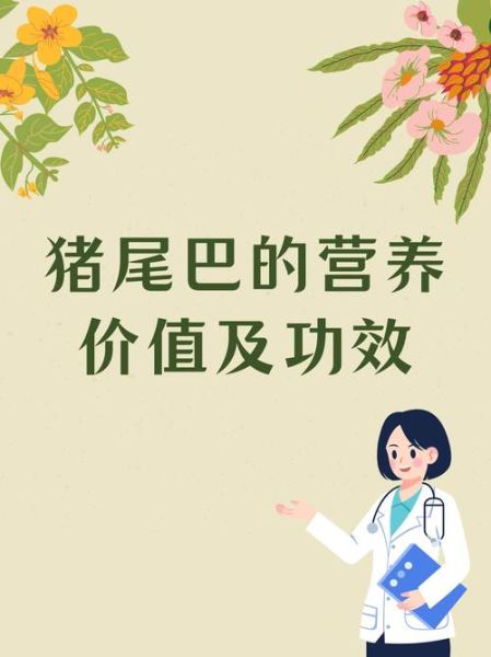 猪尾巴的营养价值_猪尾巴有什么功效-第1张图片-山城妙识 猪尾巴的营养价值_猪尾巴有什么功效-第1张图片-山城妙识