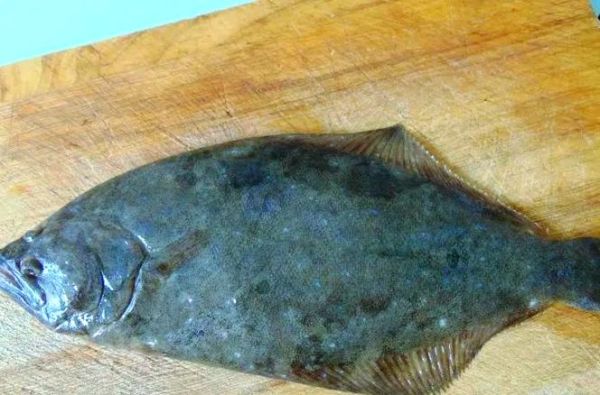 鸦片鱼价格一斤多少钱_鸦片鱼为什么这么贵-第2张图片-山城妙识 鸦片鱼价格一斤多少钱_鸦片鱼为什么这么贵-第2张图片-山城妙识