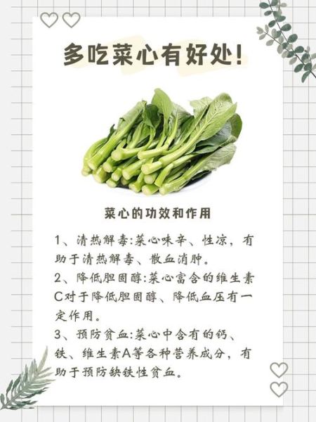 菜心的营养价值及功效与作用_菜心适合什么人吃-第2张图片-山城妙识 菜心的营养价值及功效与作用_菜心适合什么人吃-第2张图片-山城妙识
