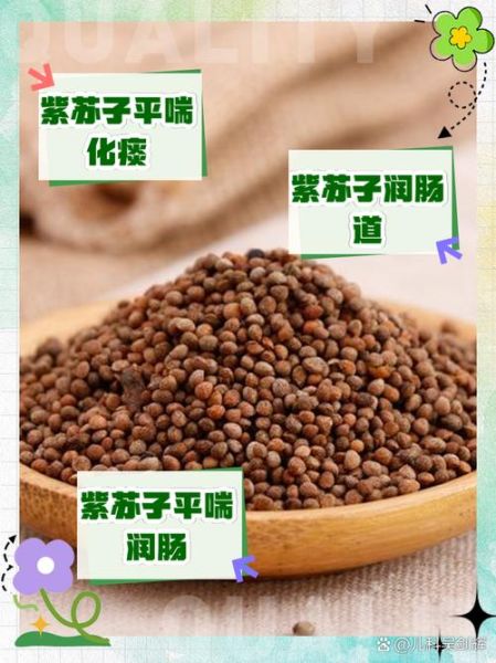 炒紫苏子的功效与作用_炒紫苏子怎么吃-第2张图片-山城妙识 炒紫苏子的功效与作用_炒紫苏子怎么吃-第2张图片-山城妙识