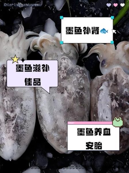 墨鱼的功效与作用及禁忌_墨鱼什么人不能吃-第2张图片-山城妙识 墨鱼的功效与作用及禁忌_墨鱼什么人不能吃-第2张图片-山城妙识